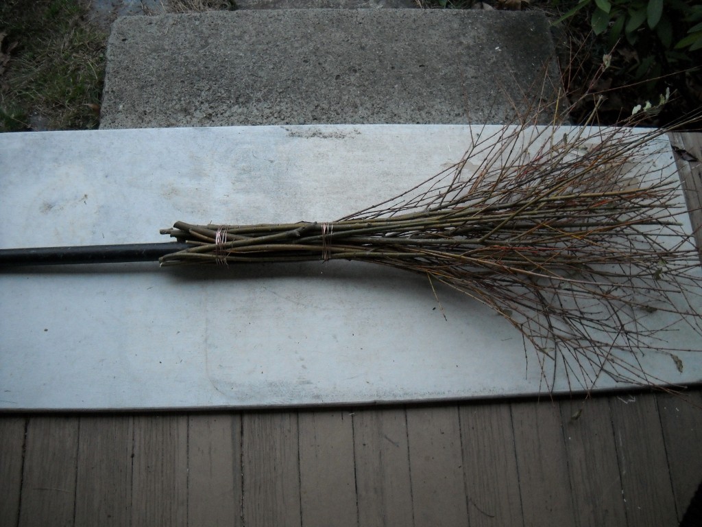 witches broom Archives - Henry Homeyer