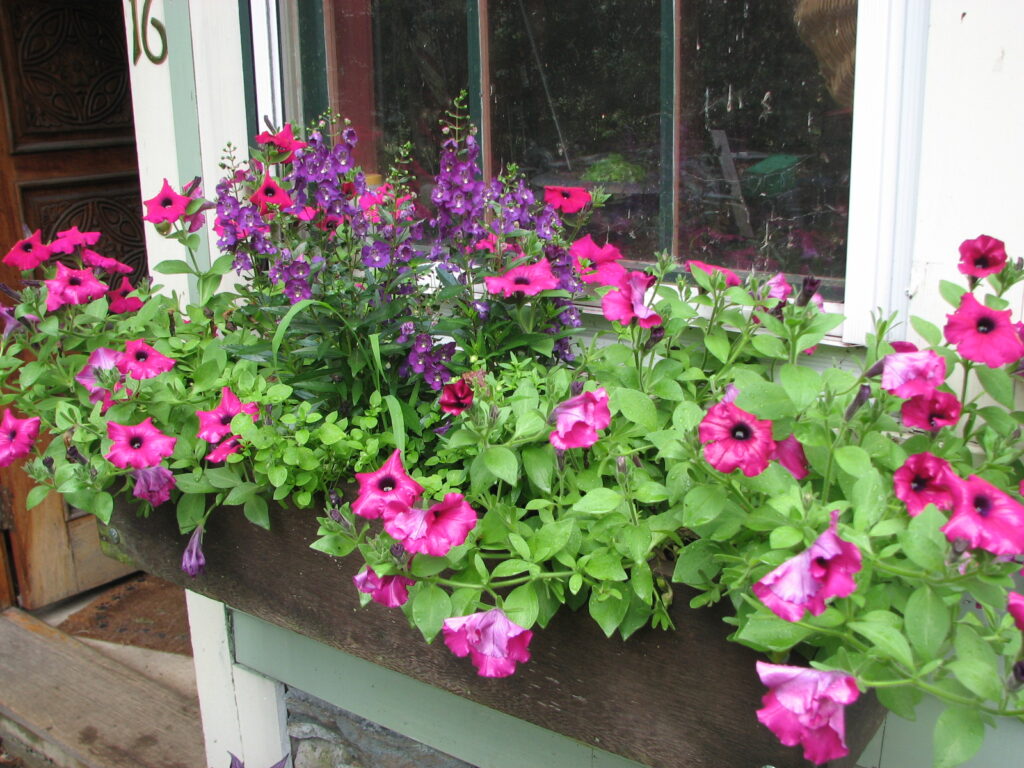Article Archives - Henry Homeyer