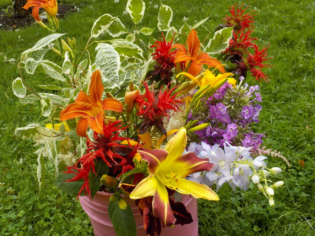 Tips for picking and arranging flowers - Henry Homeyer